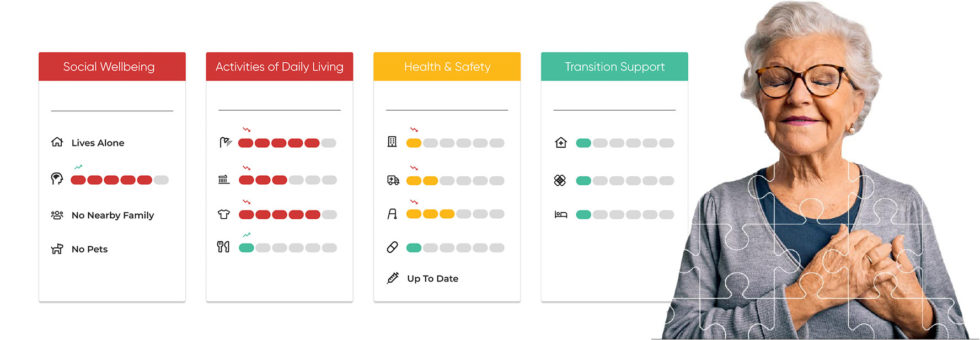 Care Coordination Solutions for Hospitals and Health Plans - Dina